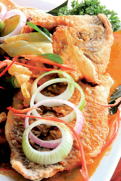 Jigging la Salau pe Dunare,weekend ideal pentru pescuit,hai la Dunare ...